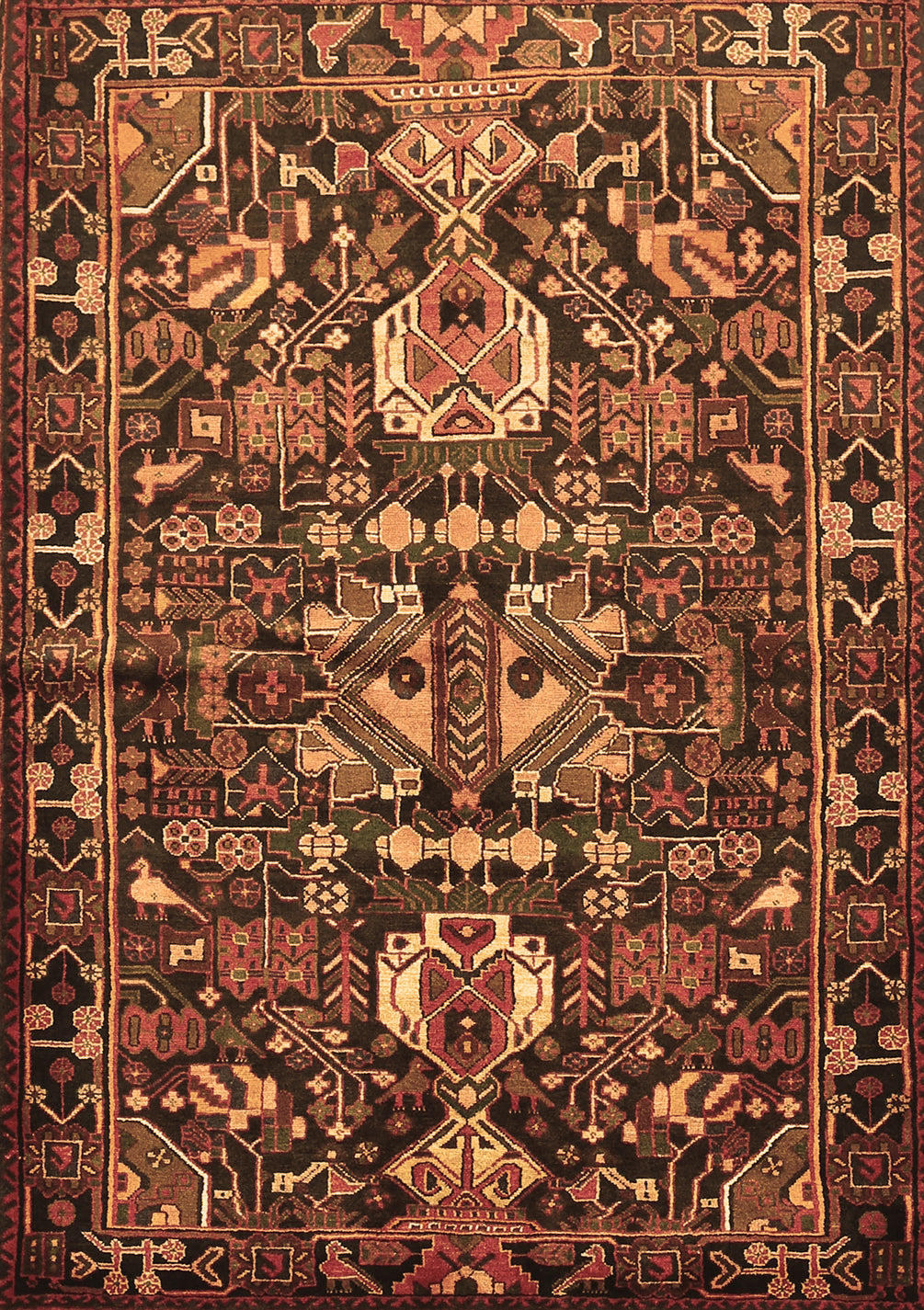 Animal Brown Traditional Rug, tr570brn - Ahgly Company